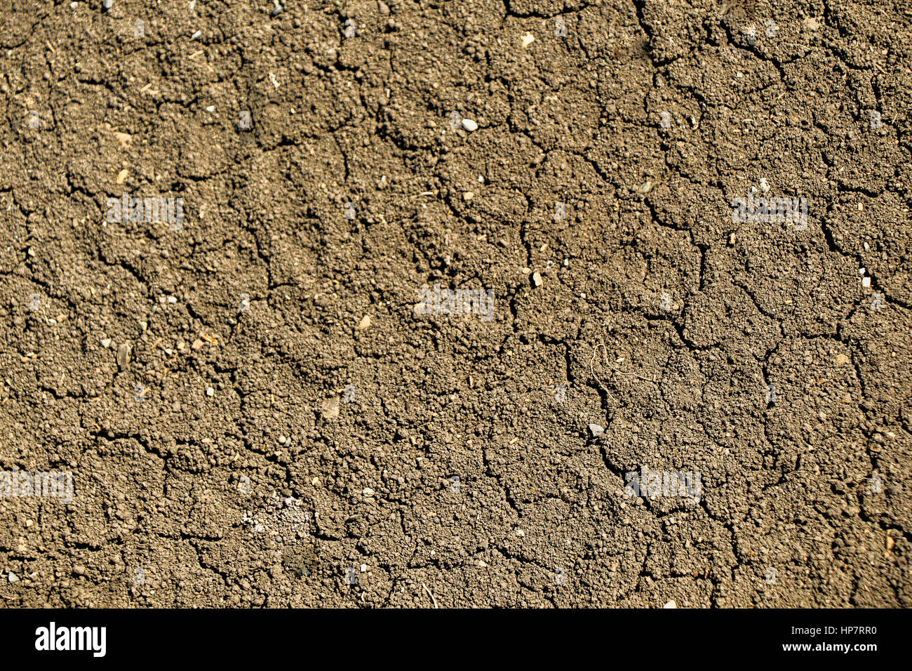Paper surface together as a background texture Stock Photo - Alamy