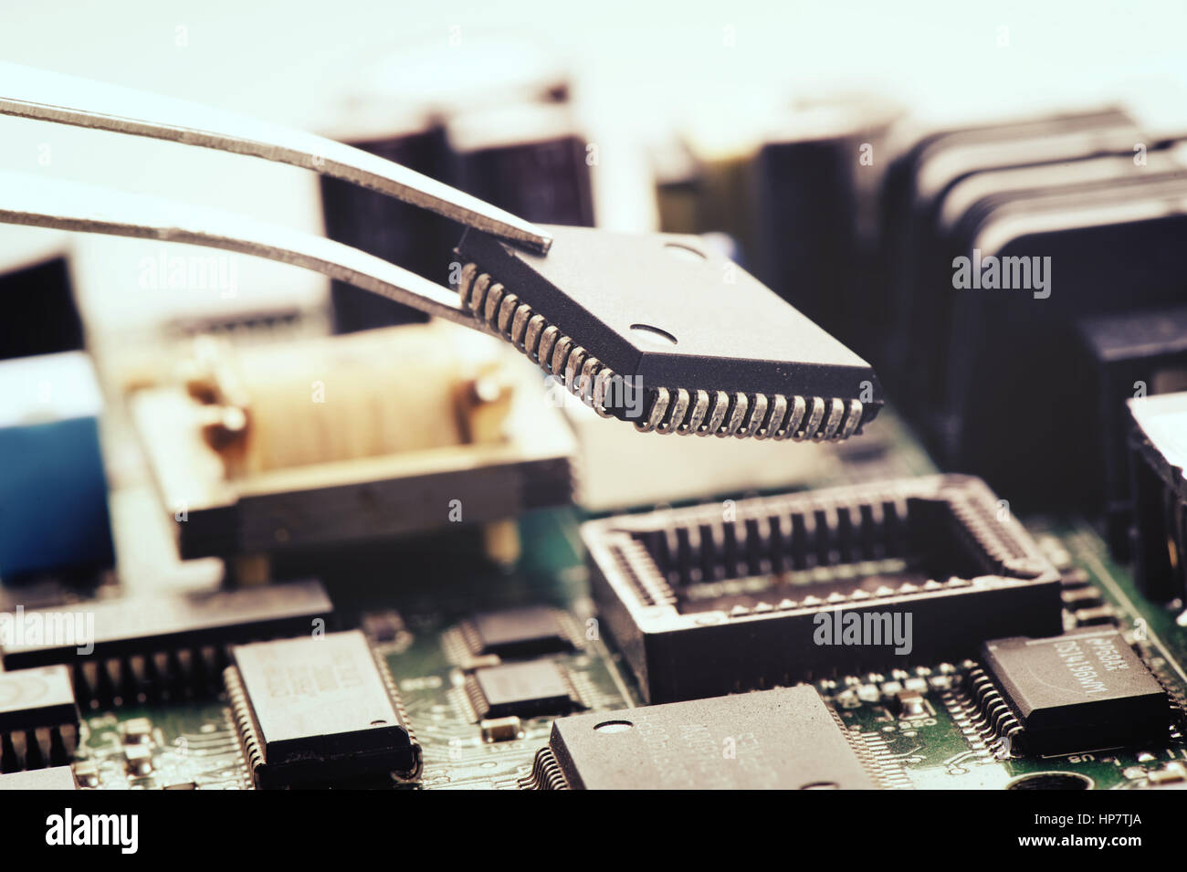 technician inserting electronic chip into the socket Stock Photo - Alamy