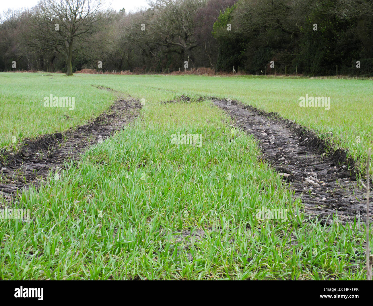 Trough track hi-res stock photography and images - Alamy