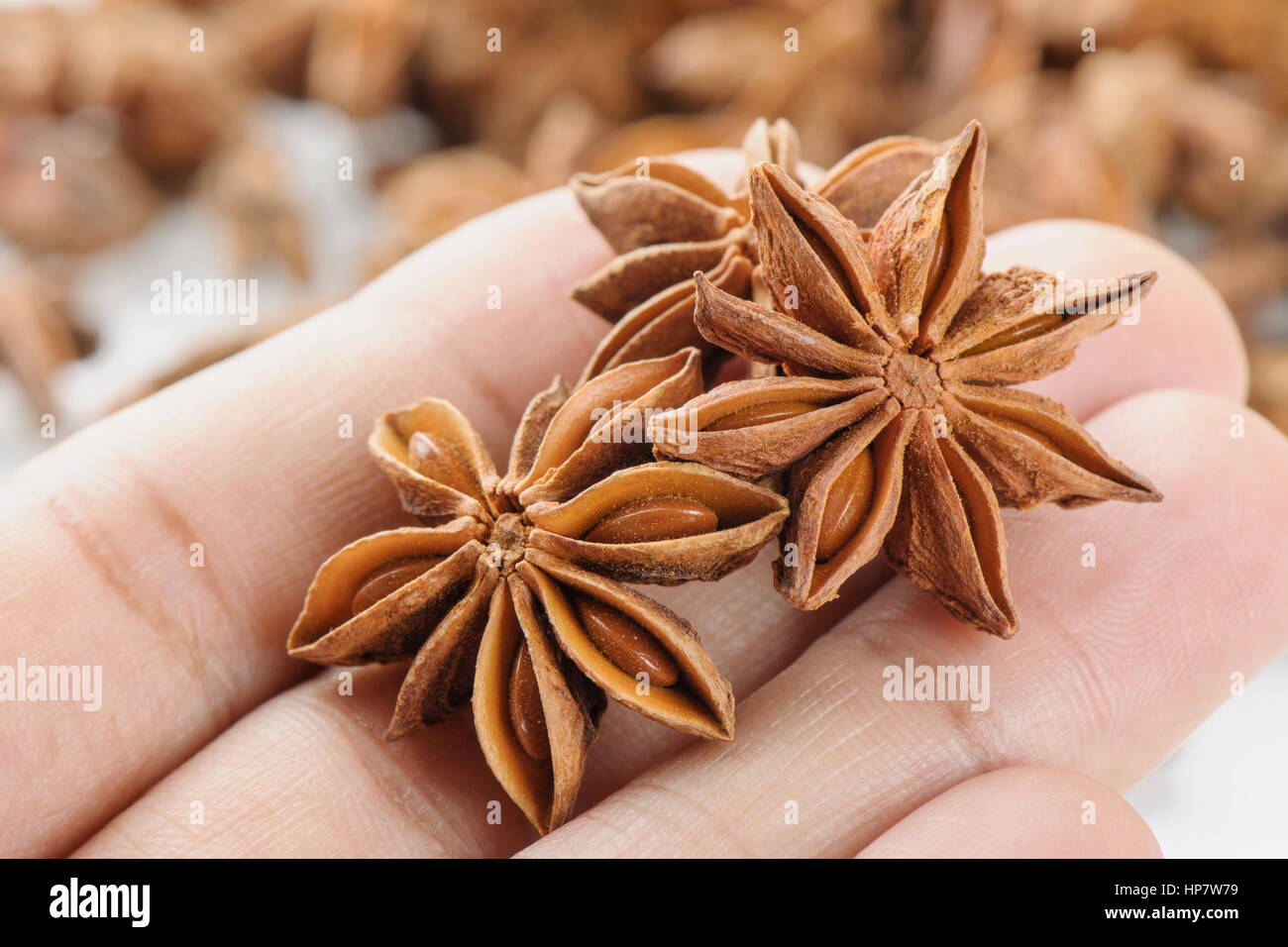 closeup details of star anise on human finger Stock Photo - Alamy