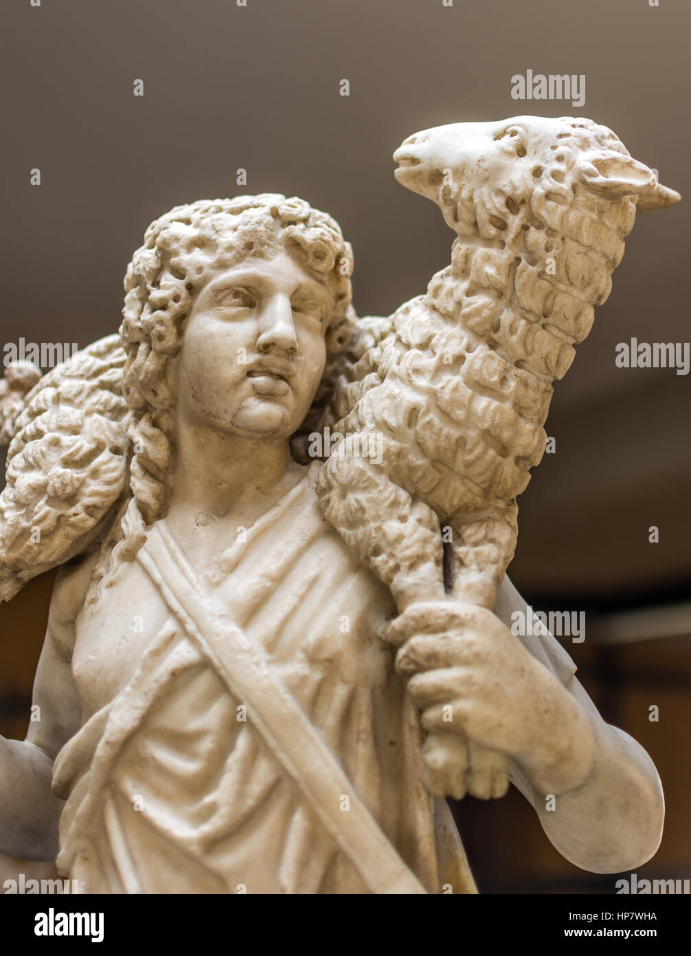 Sheep photo art hi-res stock photography and images - Alamy