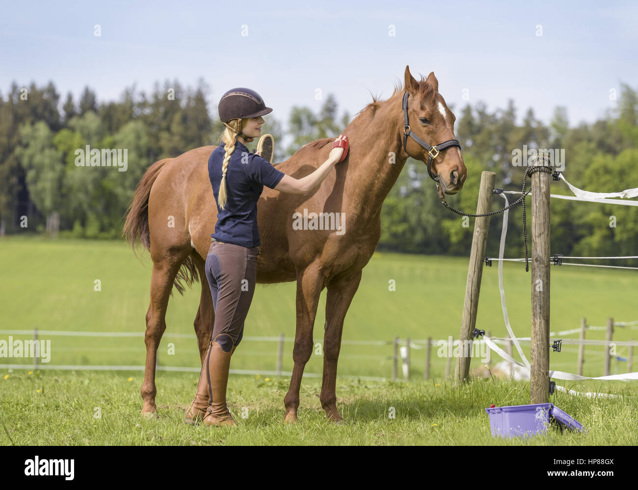 Reiterin High Resolution Stock Photography and Images - Alamy