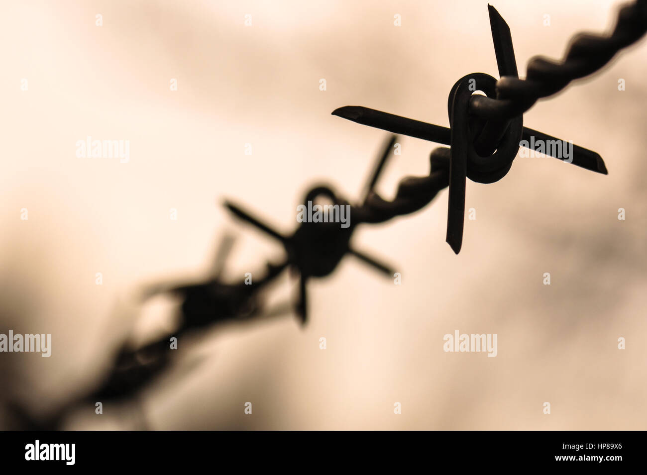 Fencing photos hi-res stock photography and images - Alamy