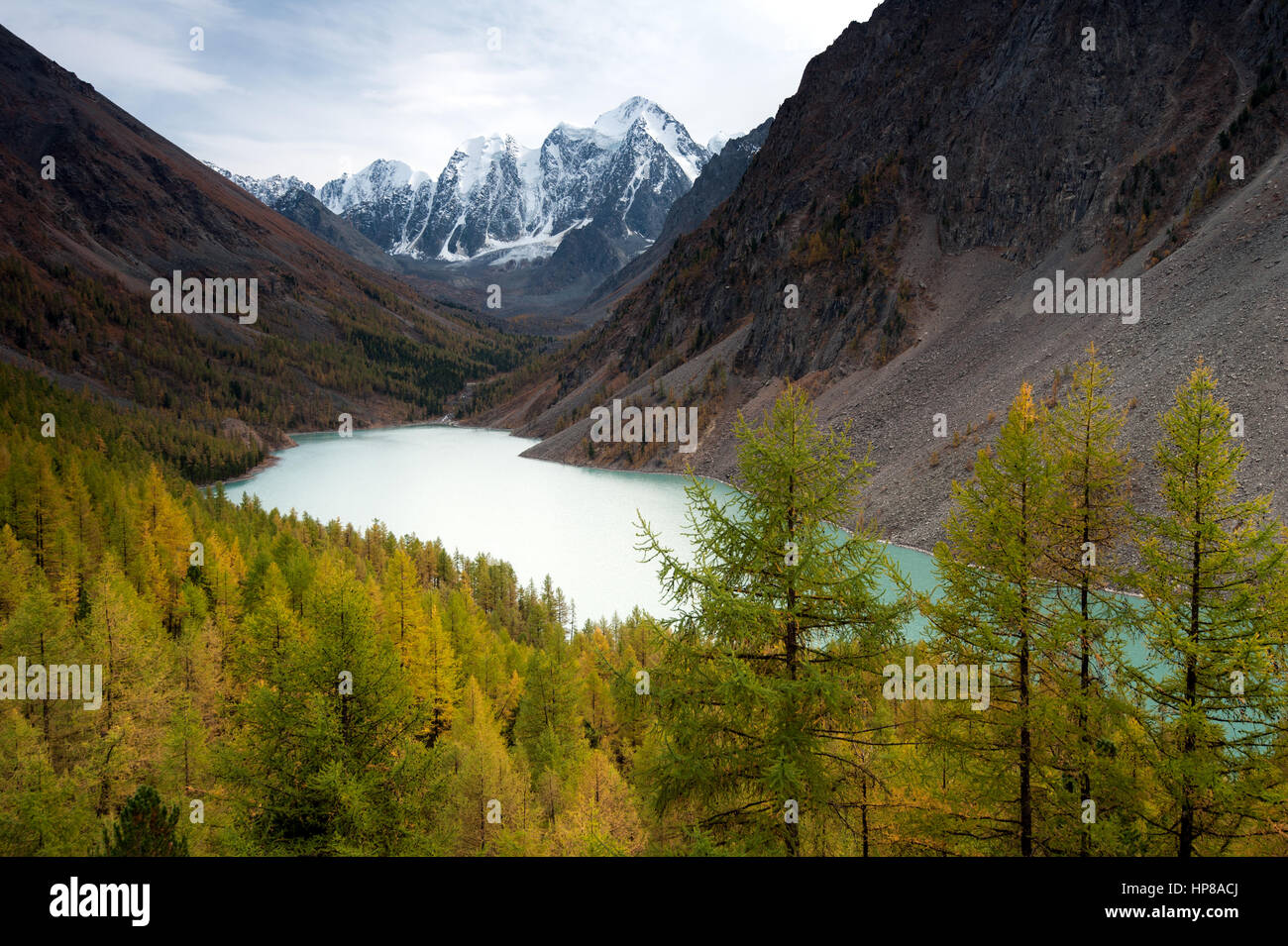 Autumnal view of Altay, Russia Stock Photo - Alamy