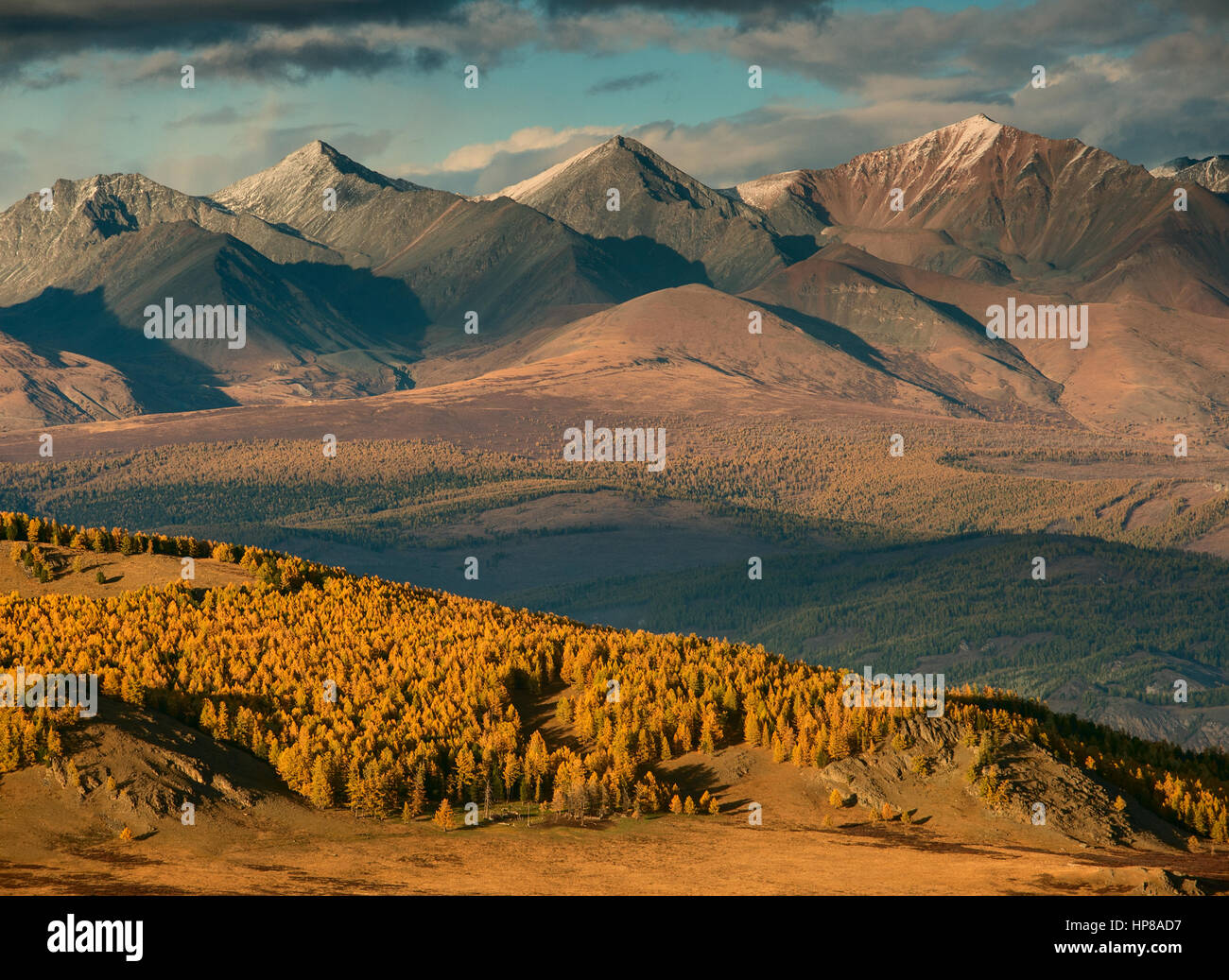 Autumnal view of Altay, Russia Stock Photo - Alamy