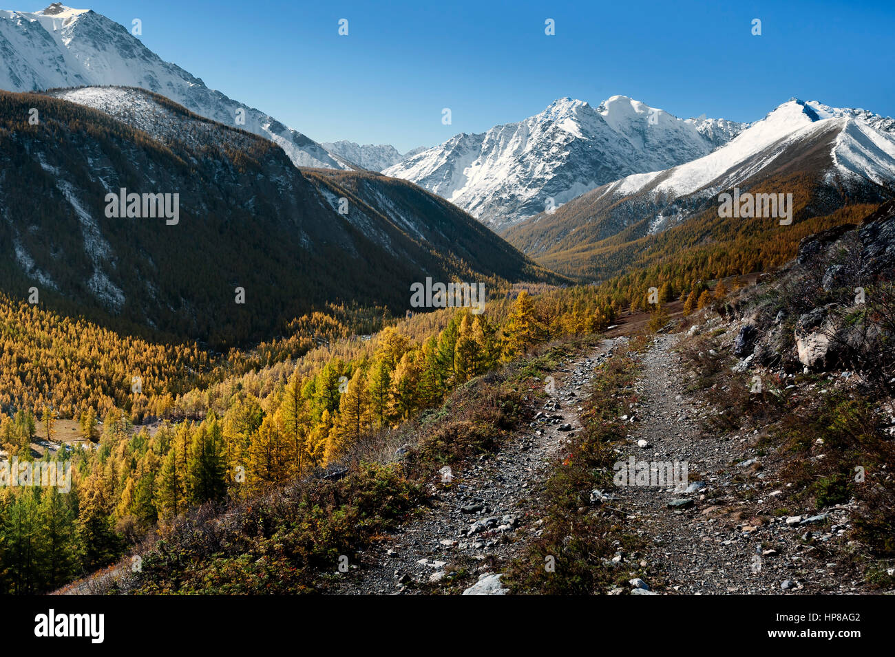 Autumnal view of Altay, Russia Stock Photo - Alamy