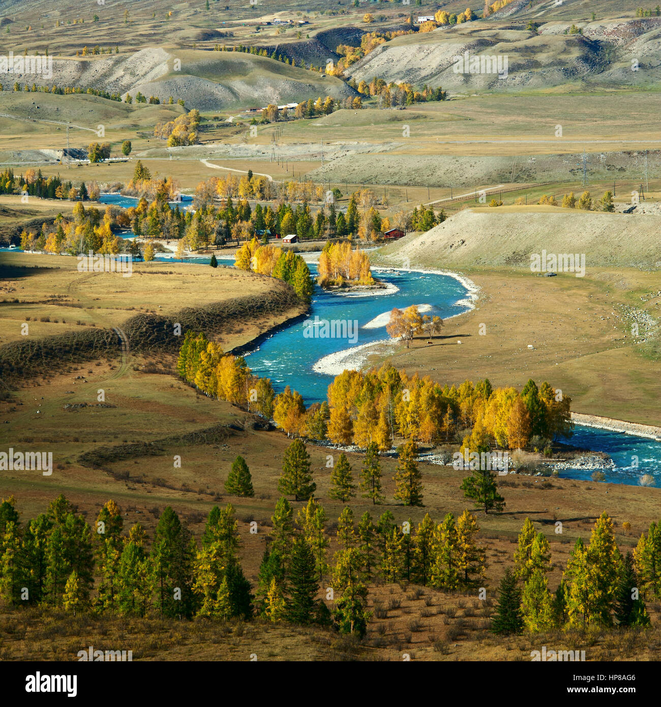 Altay Stock Photos & Altay Stock Images - Alamy