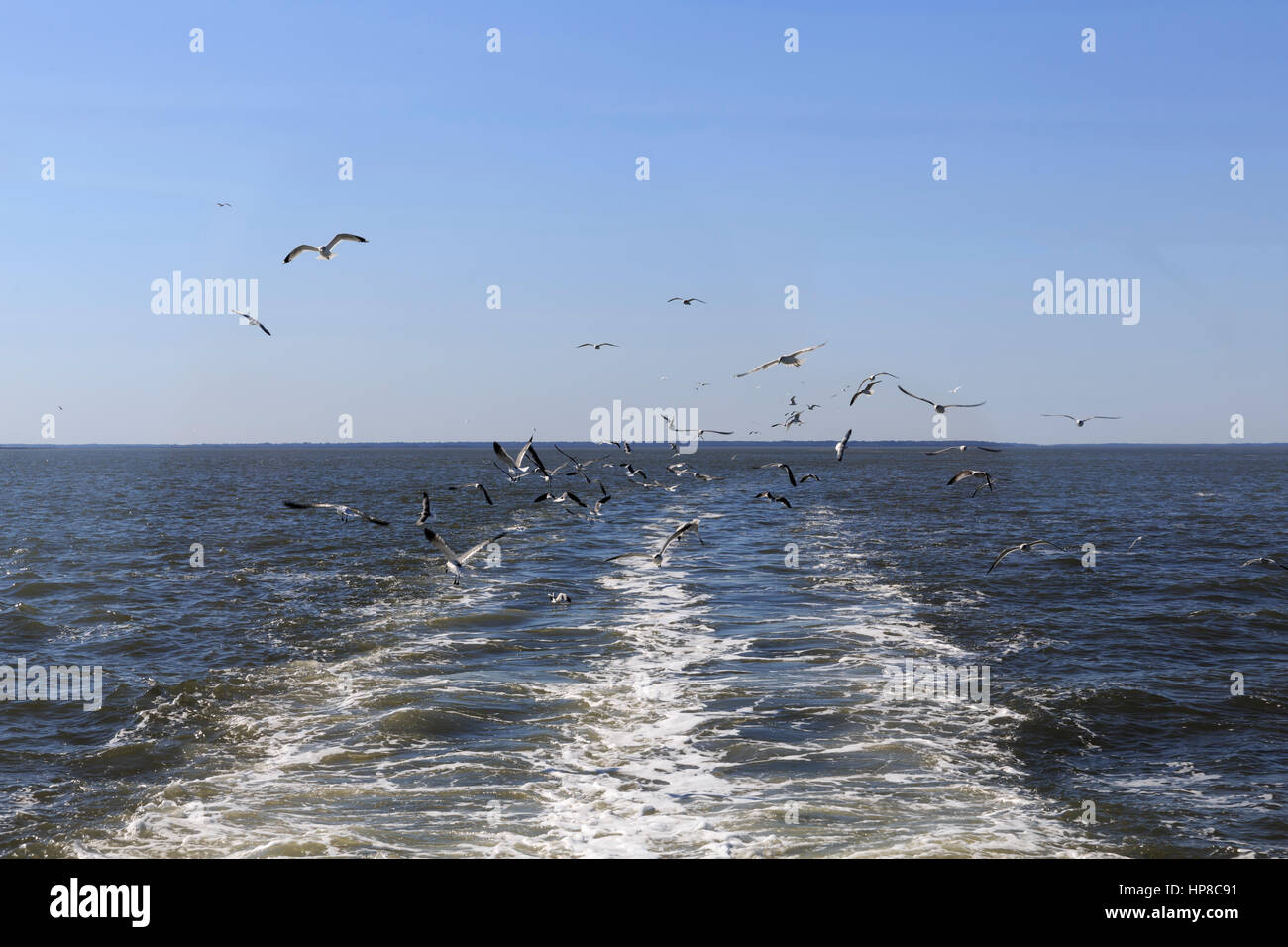 Atlantic intracoastal waterway hi-res stock photography and images - Alamy
