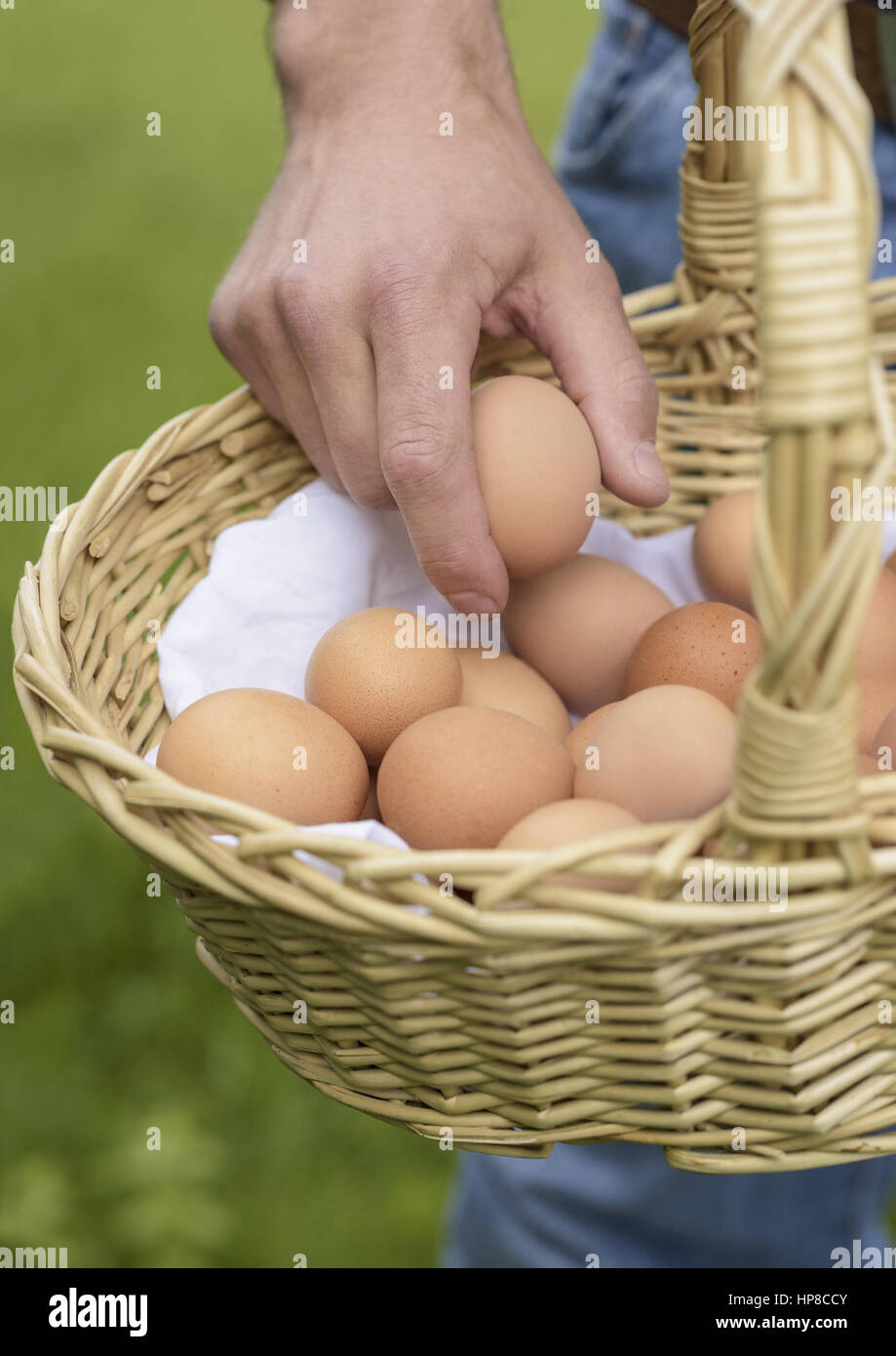 Huehnerei High Resolution Stock Photography and Images - Alamy