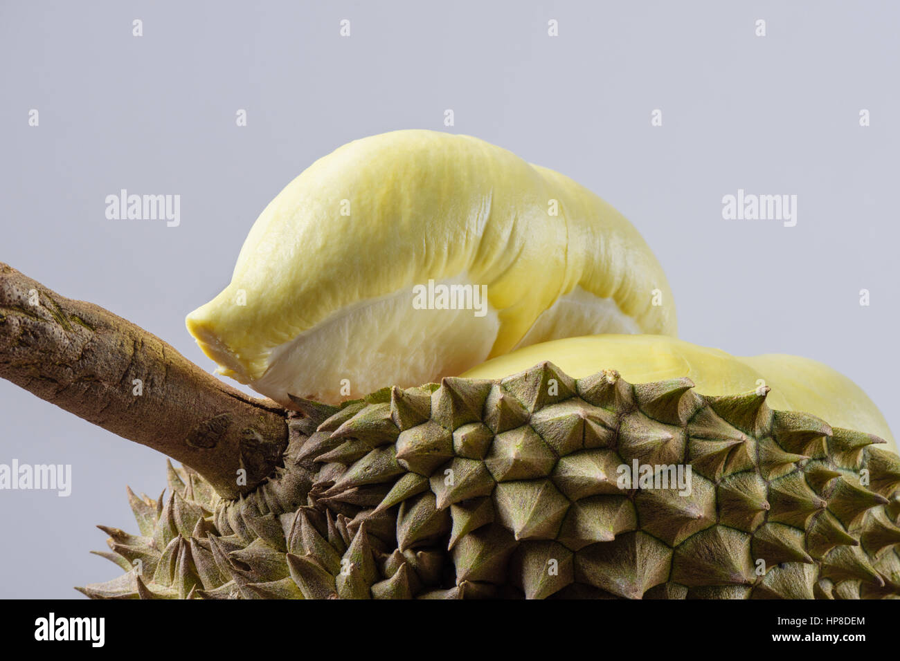 Ripe durian hi-res stock photography and images - Alamy