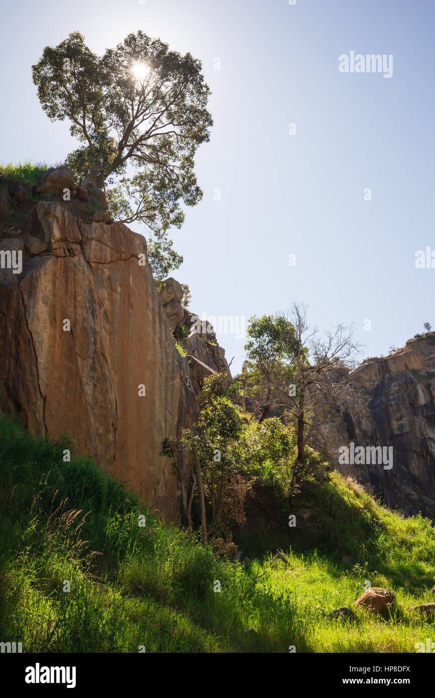 Trees on top of rock climbing wall hi-res stock photography and images ...