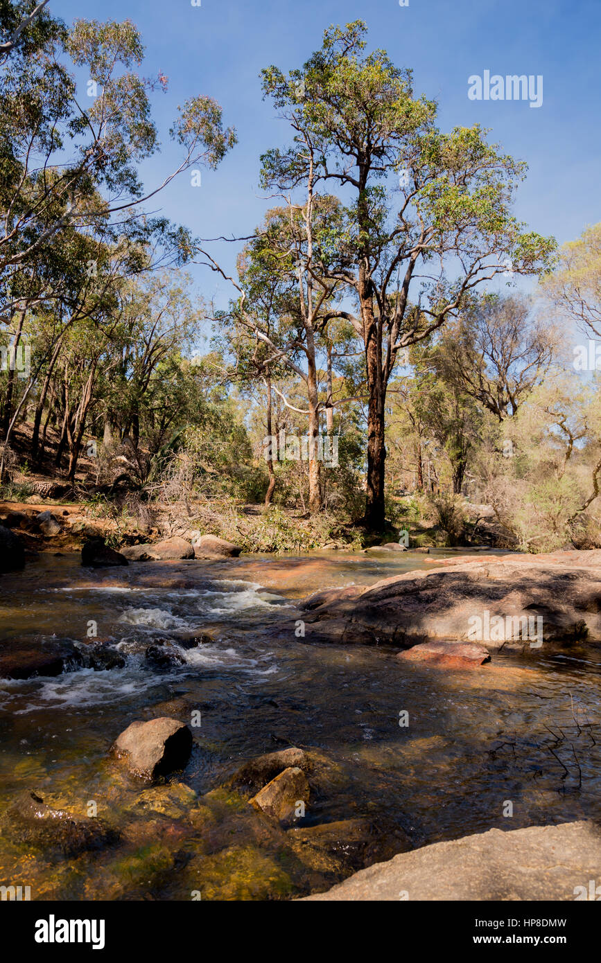 A small stream flowing through John Forrest National park, Western ...
