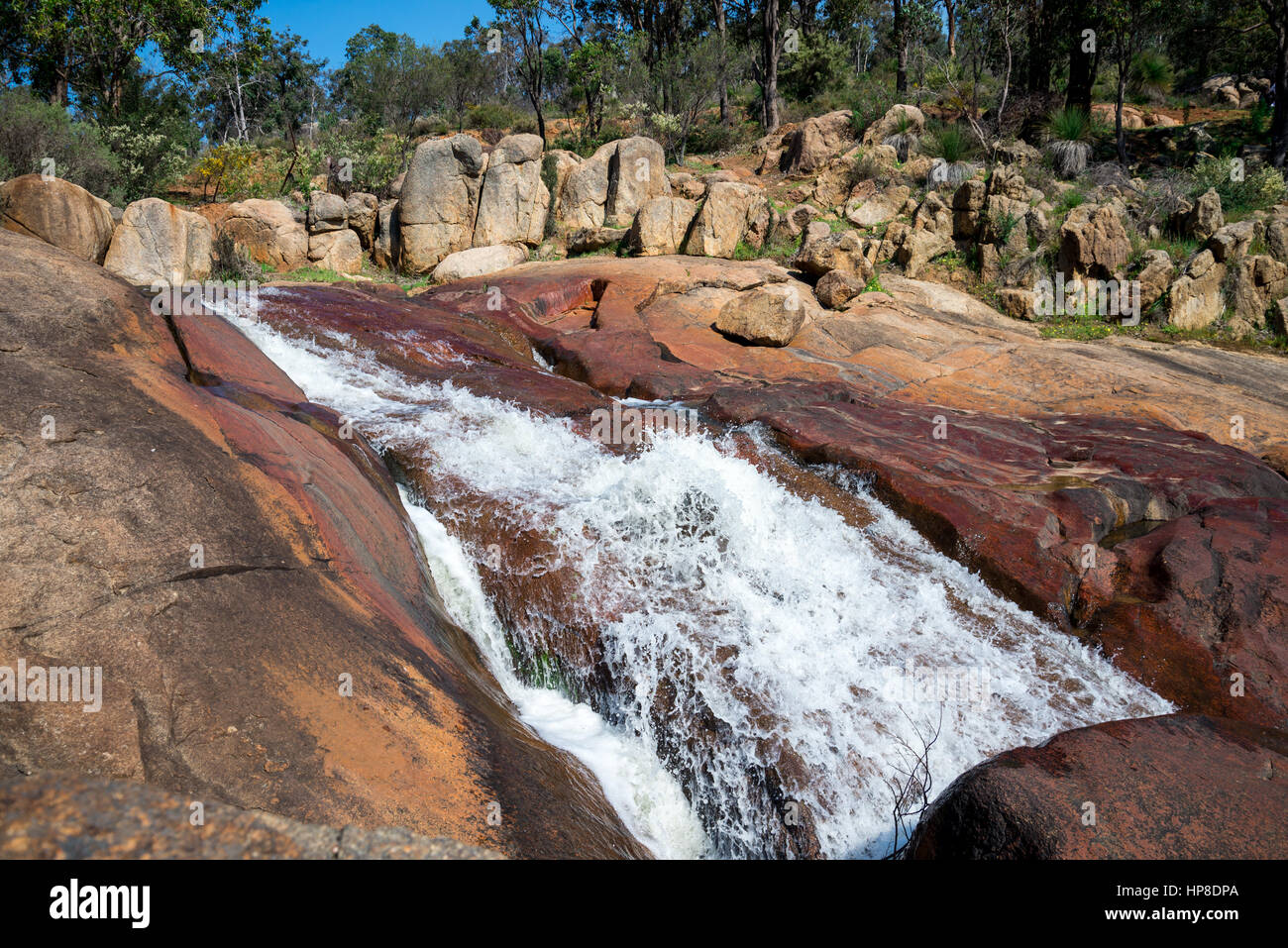 John forrest national park hi-res stock photography and images - Alamy