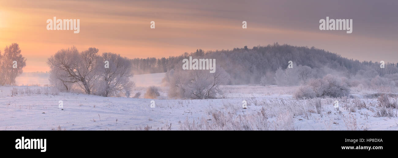 Bright winter panoramic landscape. Frosty trees in morning sunlight ...
