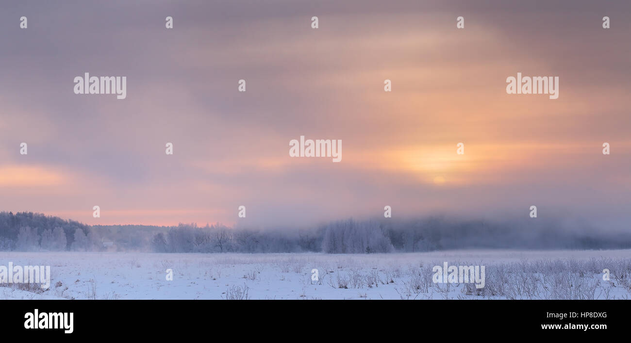 Yellow sun rising over mist in winter. Gorgeous winter sky in warm ...