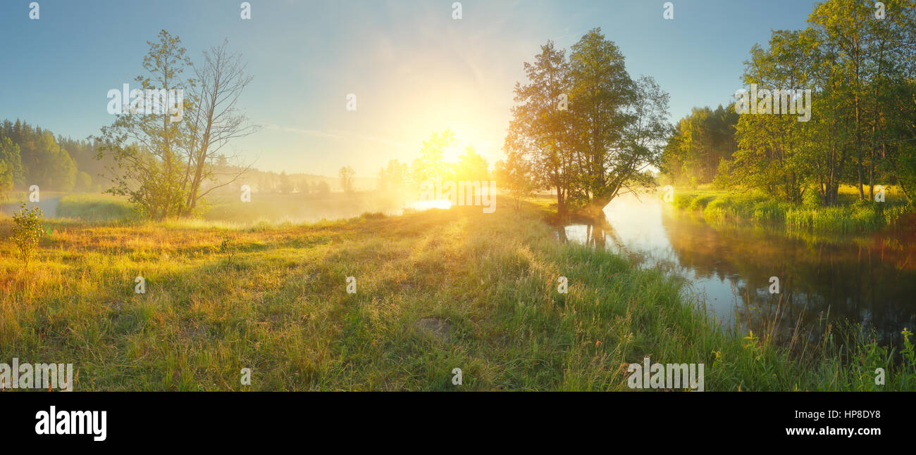 Summer morning sun hi-res stock photography and images - Alamy