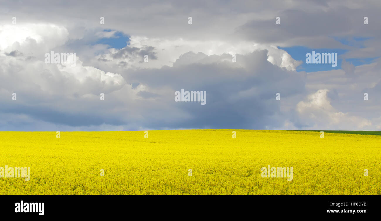 Scafield hi-res stock photography and images - Alamy