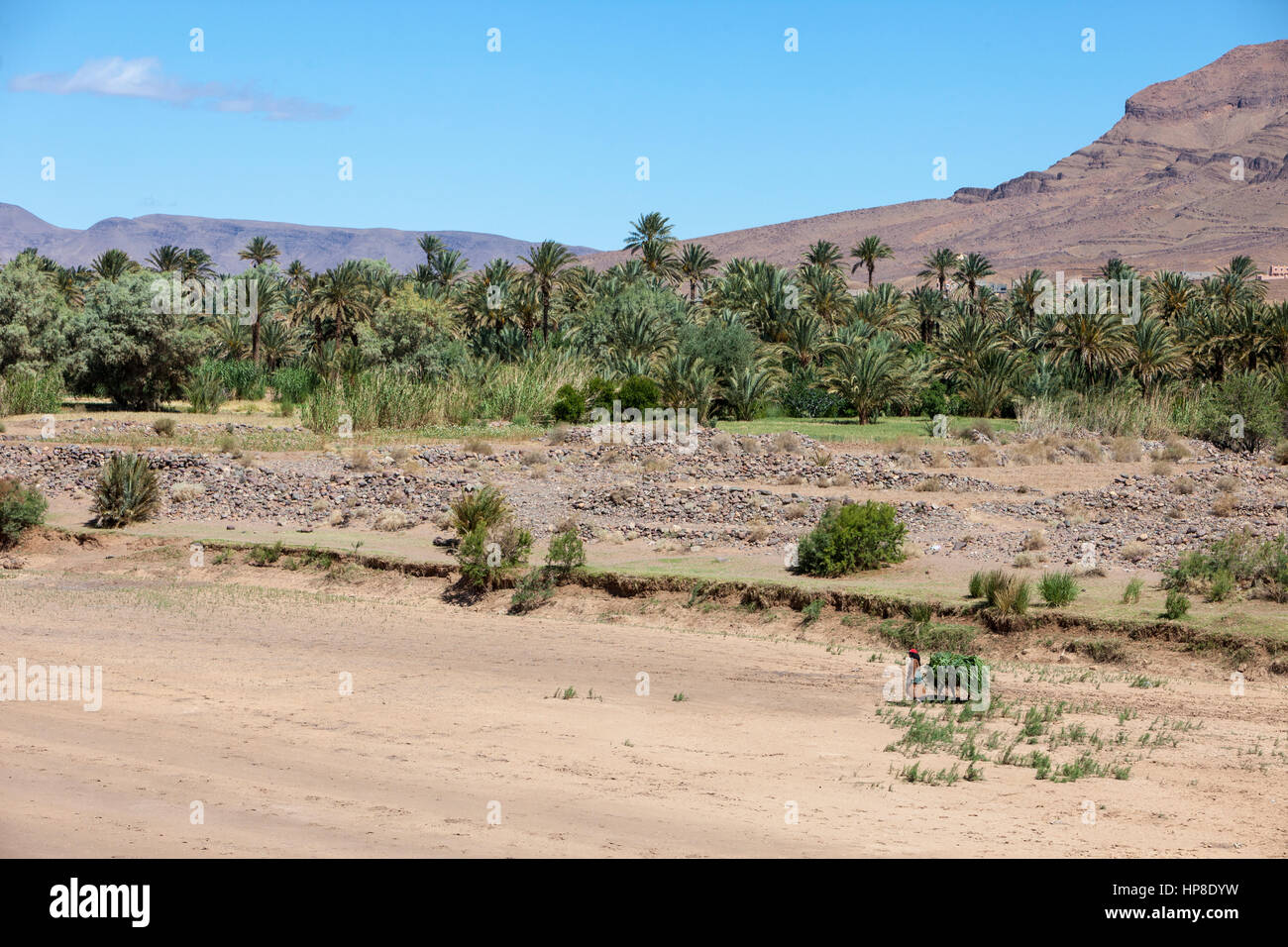 Morocco Wadi Draa High Resolution Stock Photography and Images - Alamy