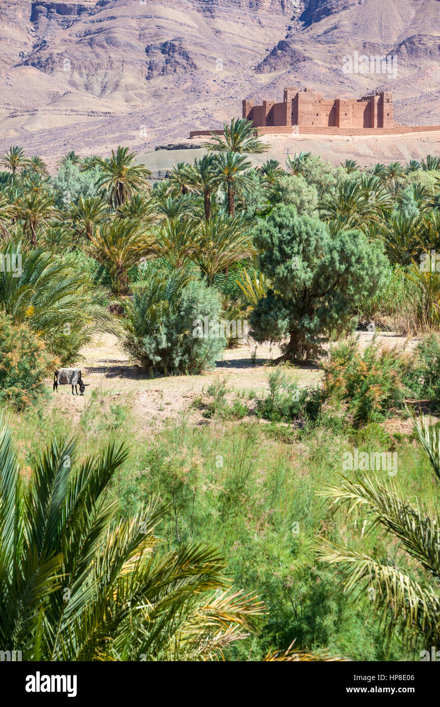 Draa river near agdz morocco hi-res stock photography and images - Alamy