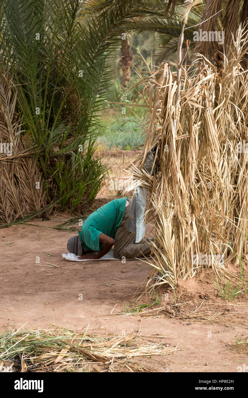 Morocco farmer hi-res stock photography and images - Alamy