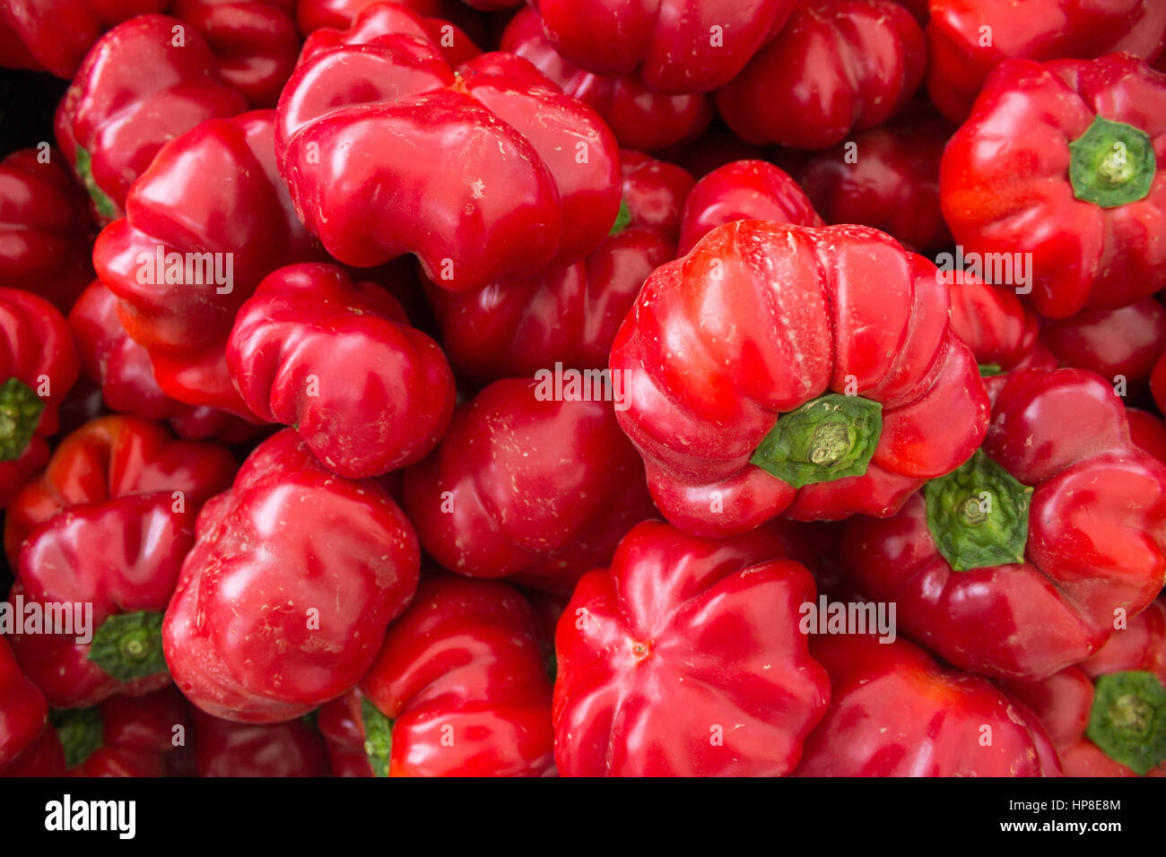 Red tomatoe tomatoes hi-res stock photography and images - Alamy