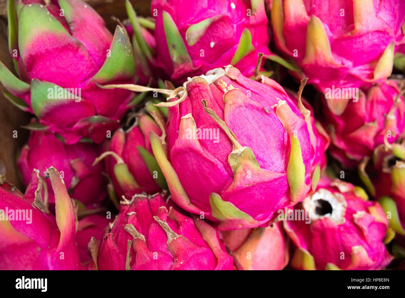 Fresh dragonfruit hi-res stock photography and images - Alamy
