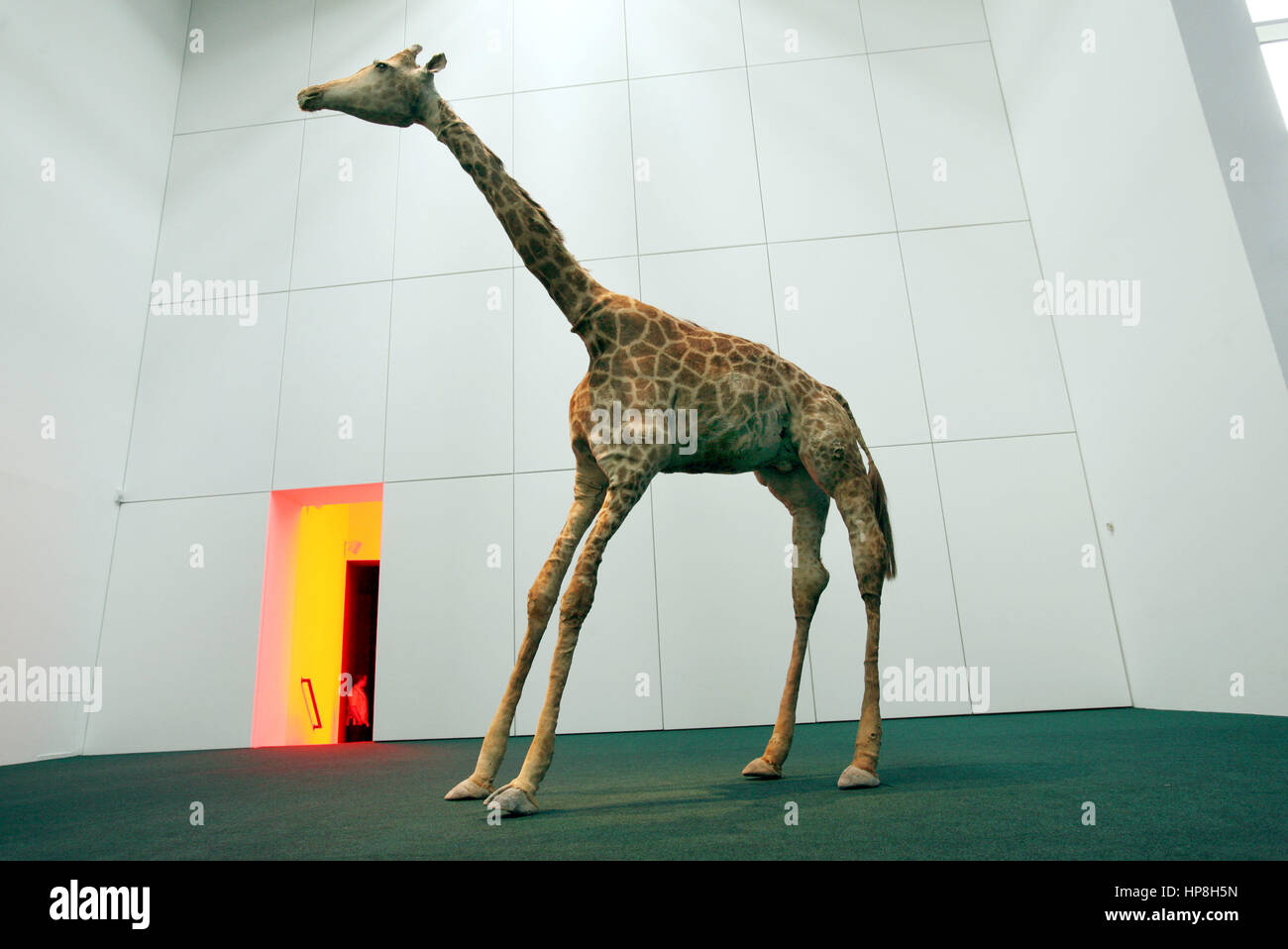 "The Zoo Story" by Austrian artist Peter Friedl at the documenta 12 art ...