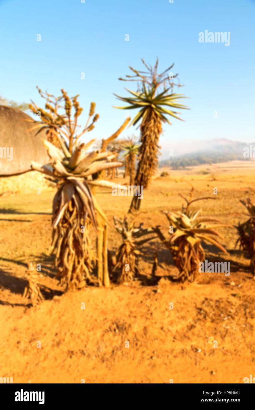 blur in swaziland mlilwane wildlife nature reserve mountain and tree ...