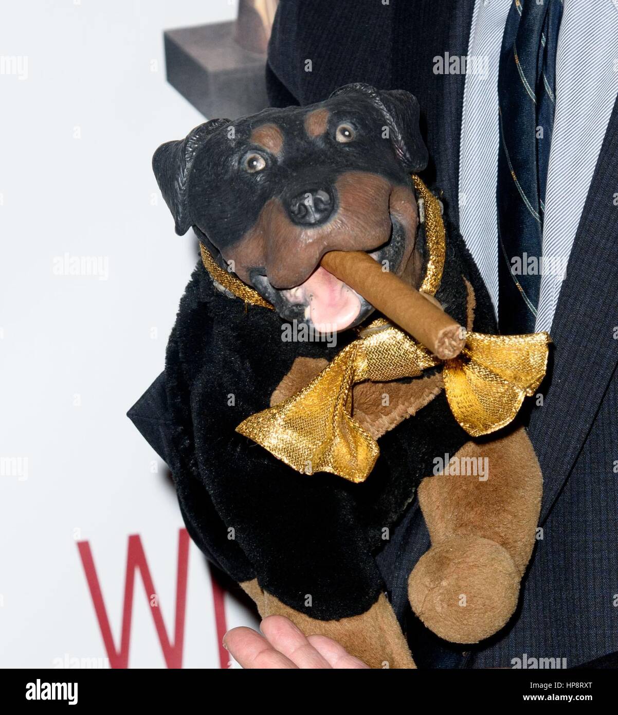 New York, NY, USA. 19th Feb, 2017. Triumph the Insult Dog in attendance ...