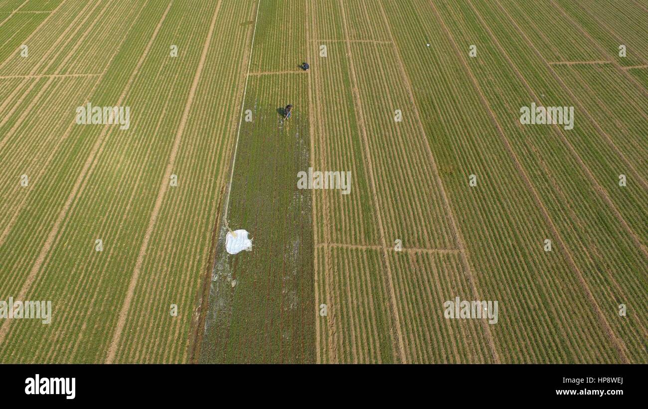 Liaocheng, Liaocheng, China. 18th Feb, 2017. Liaocheng, CHINA-February ...