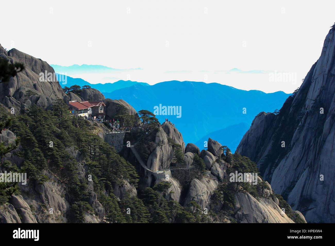 Chinese shaped trees hi-res stock photography and images - Alamy