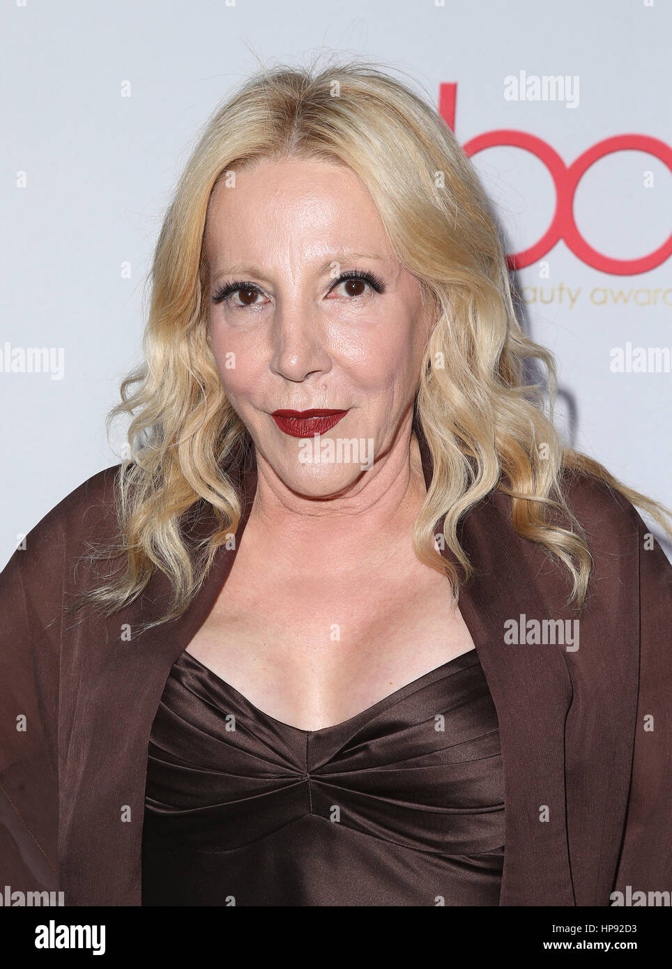 Hollywood, USA. 19th Feb, 2017. Michelle Elizabeth, at 3rd Annual ...