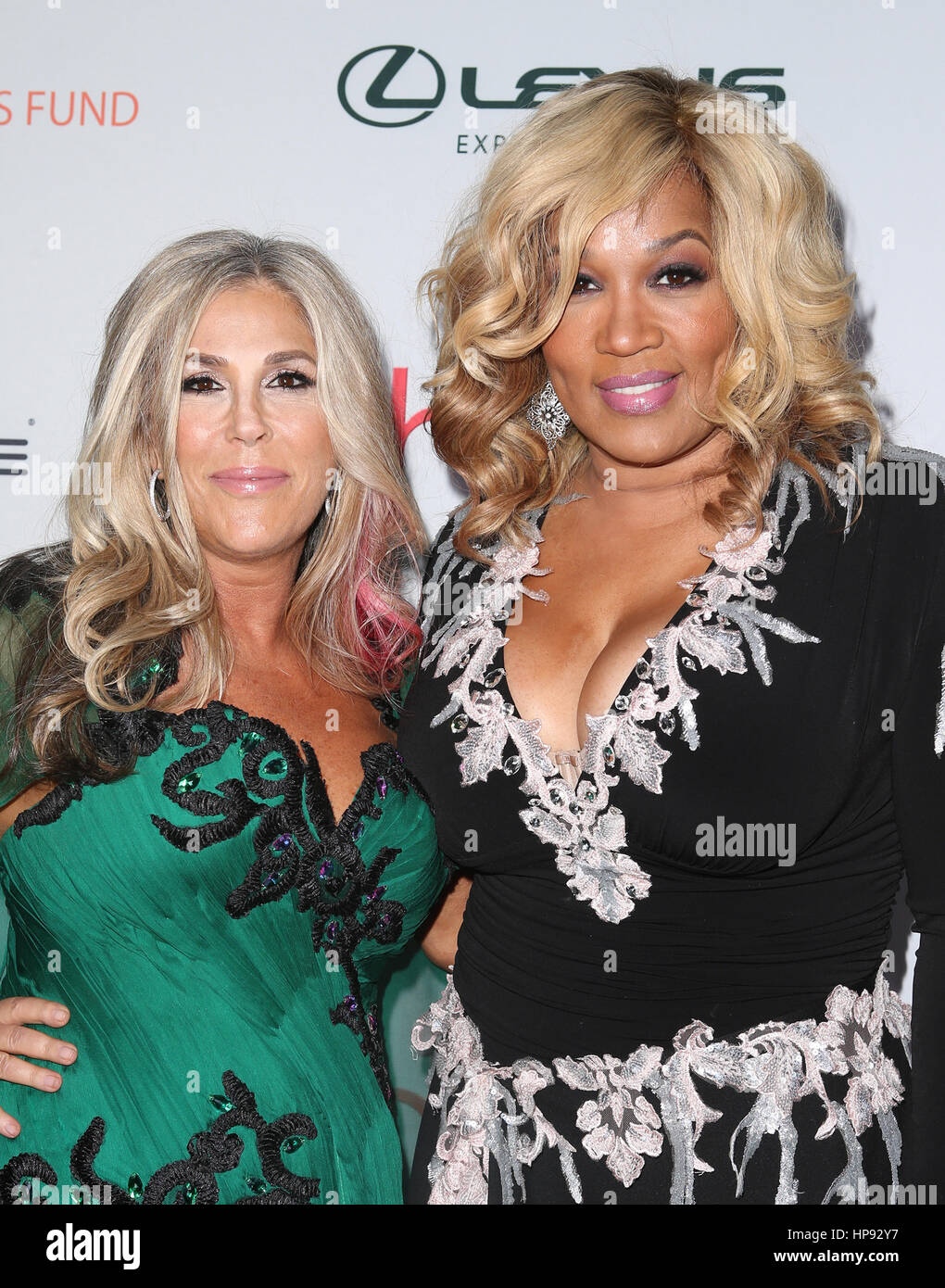 Hollywood, USA. 19th Feb, 2017. Lisa Stanley, Kym Whitley, at 3rd ...
