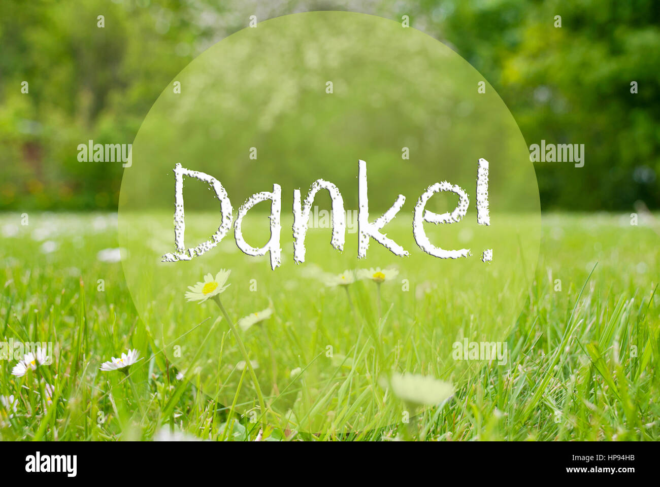 German Text Danke Means Thank You. Spring Or Summer Gras Meadow With ...