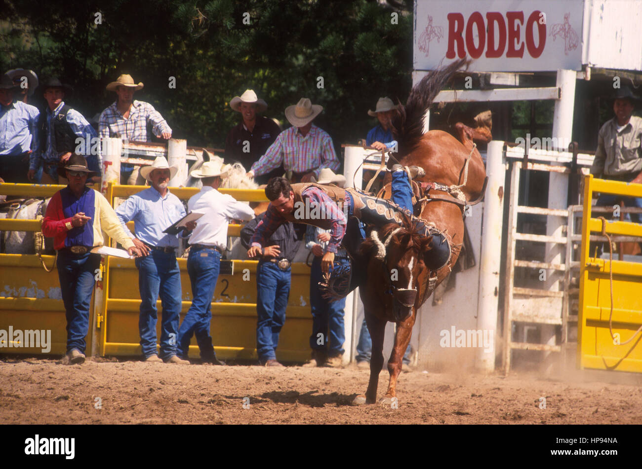 Australian Men Cowboys High Resolution Stock Photography and Images - Alamy