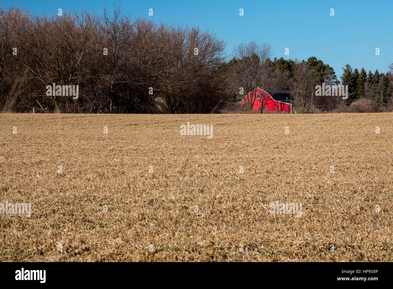 Farming farm red hi-res stock photography and images - Alamy