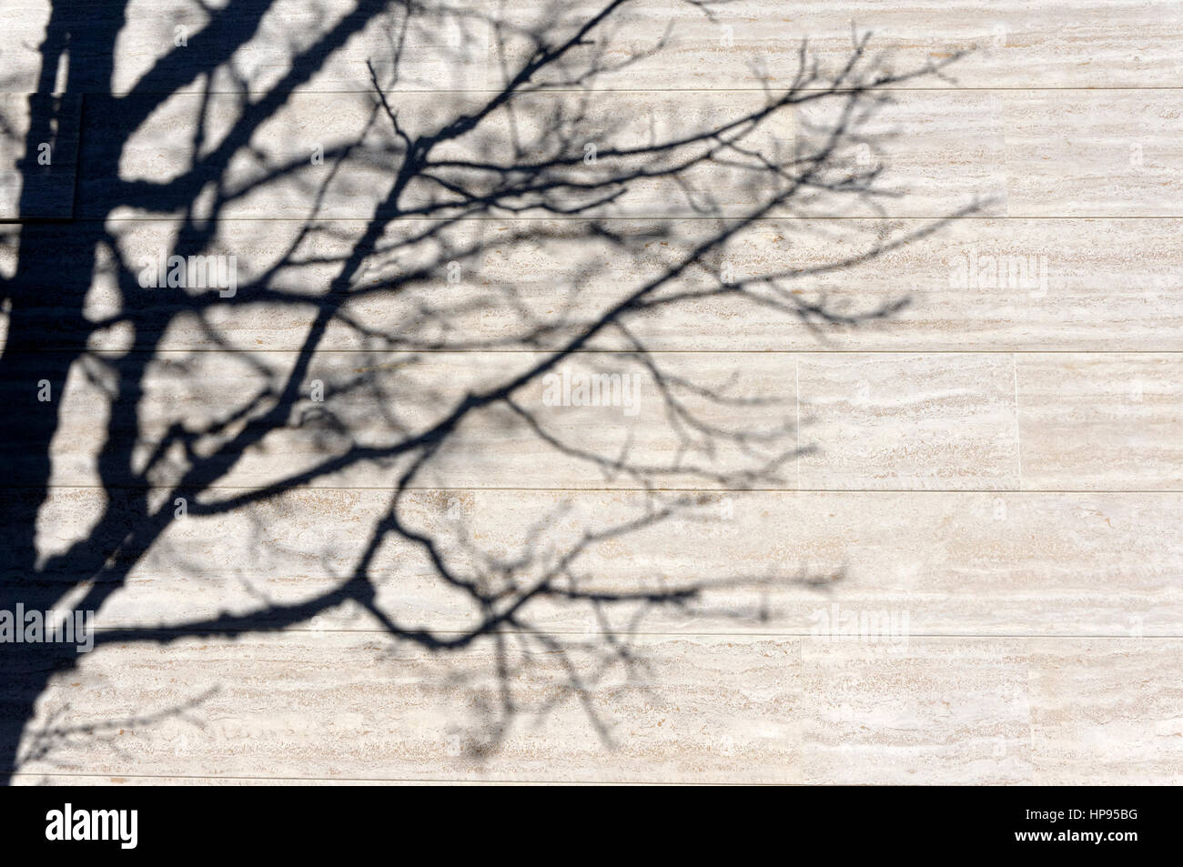 Tree Shadows On Wall Stock Photos & Tree Shadows On Wall Stock Images ...