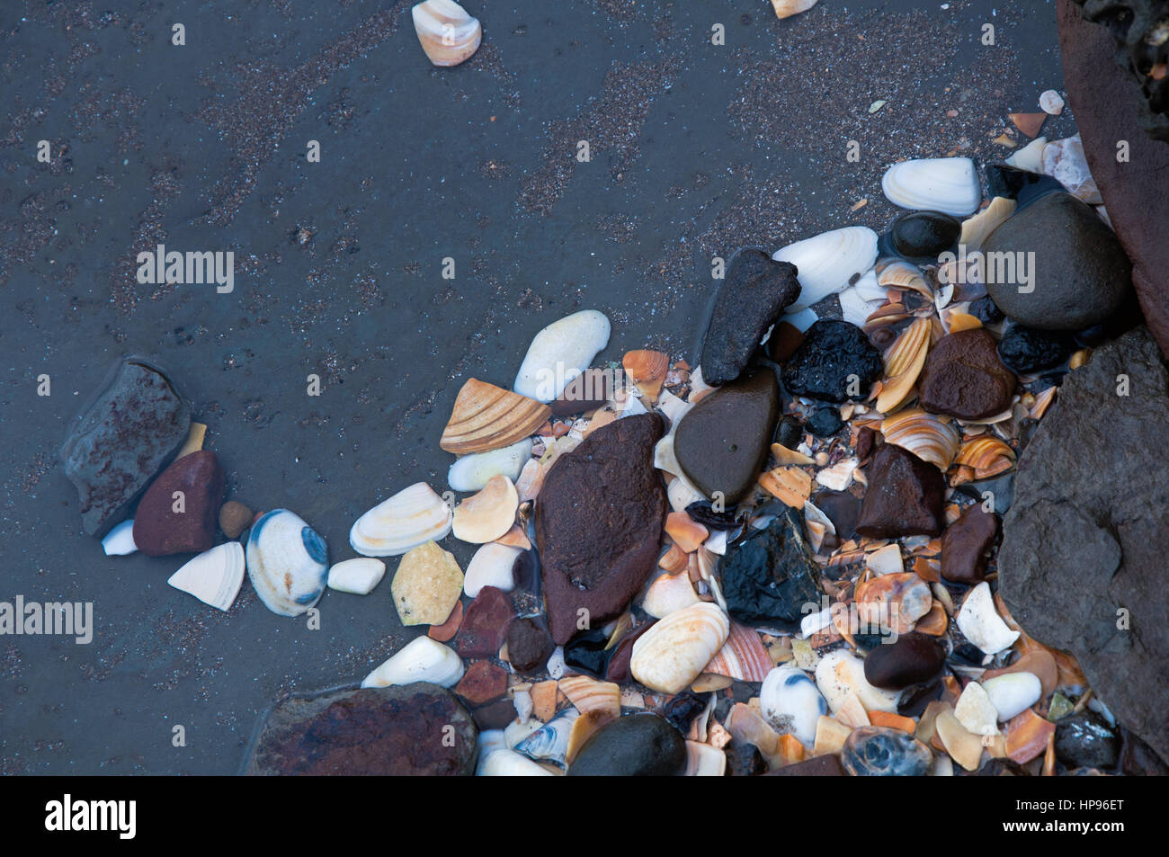 Black and white sand and shells hi-res stock photography and images - Alamy