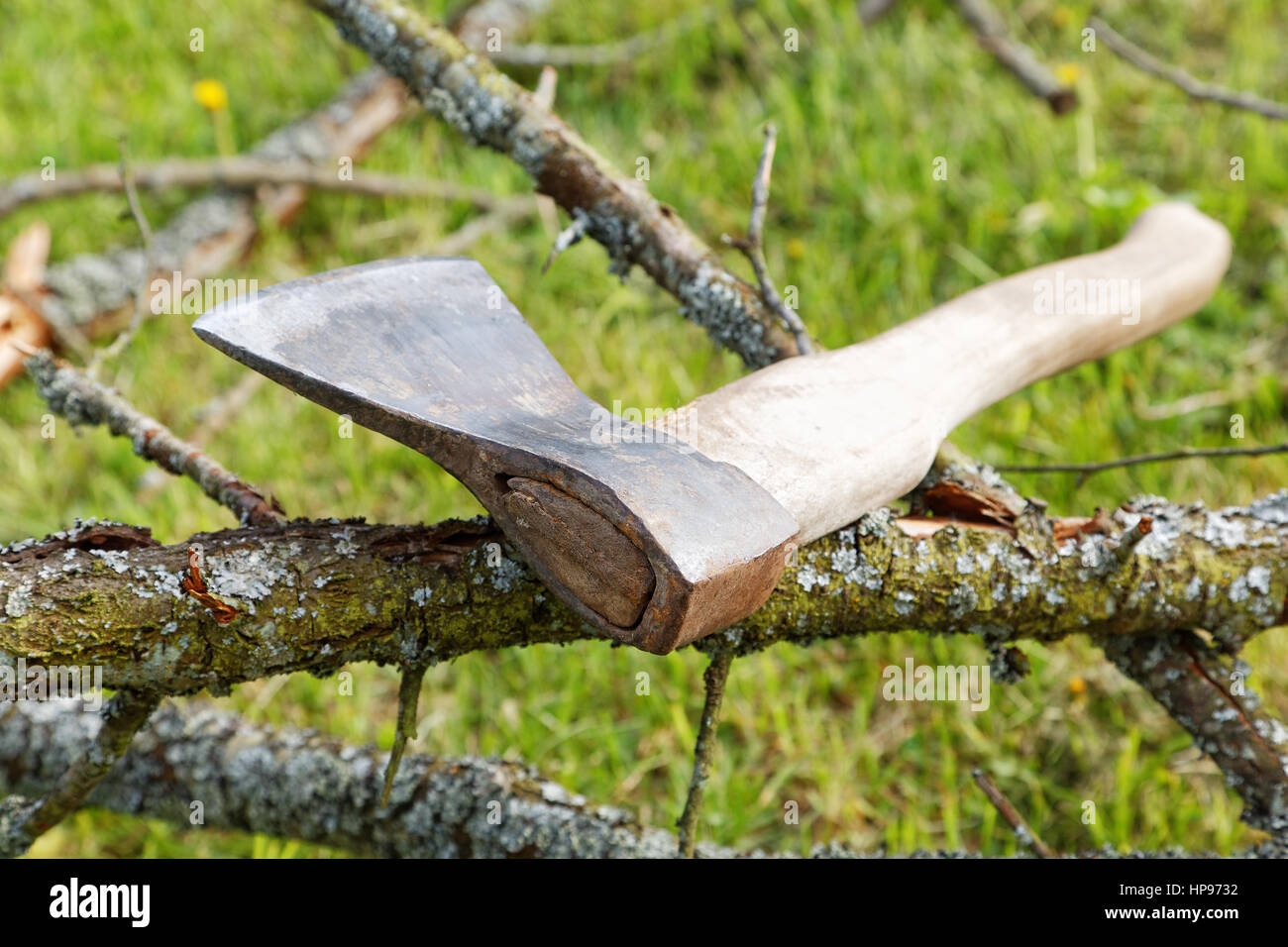 ax and branches of old trees on the grass Stock Photo - Alamy