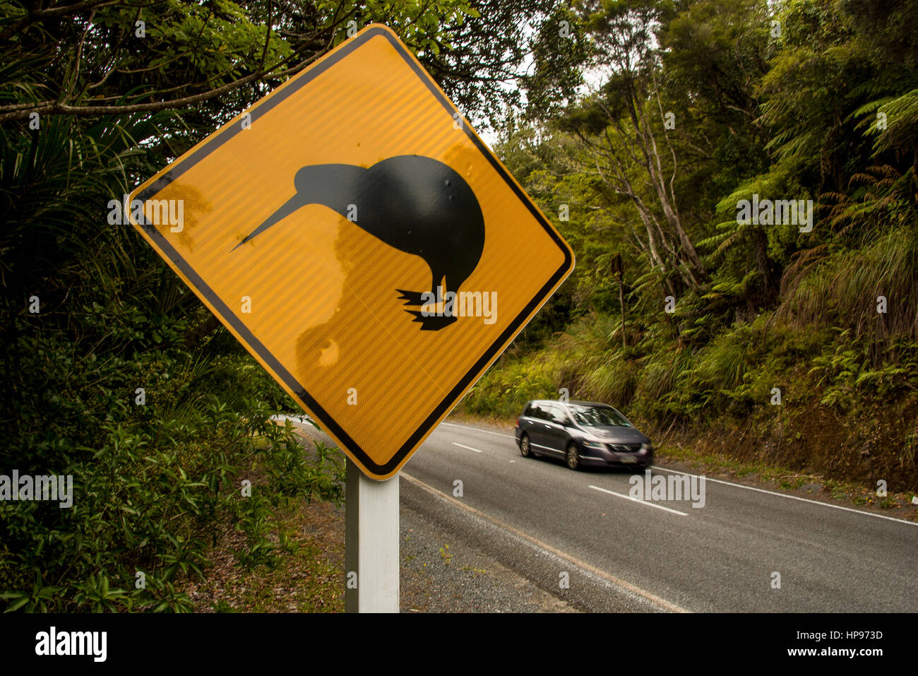 Kiwi crossing road sign with a car on a background. Northland, New ...