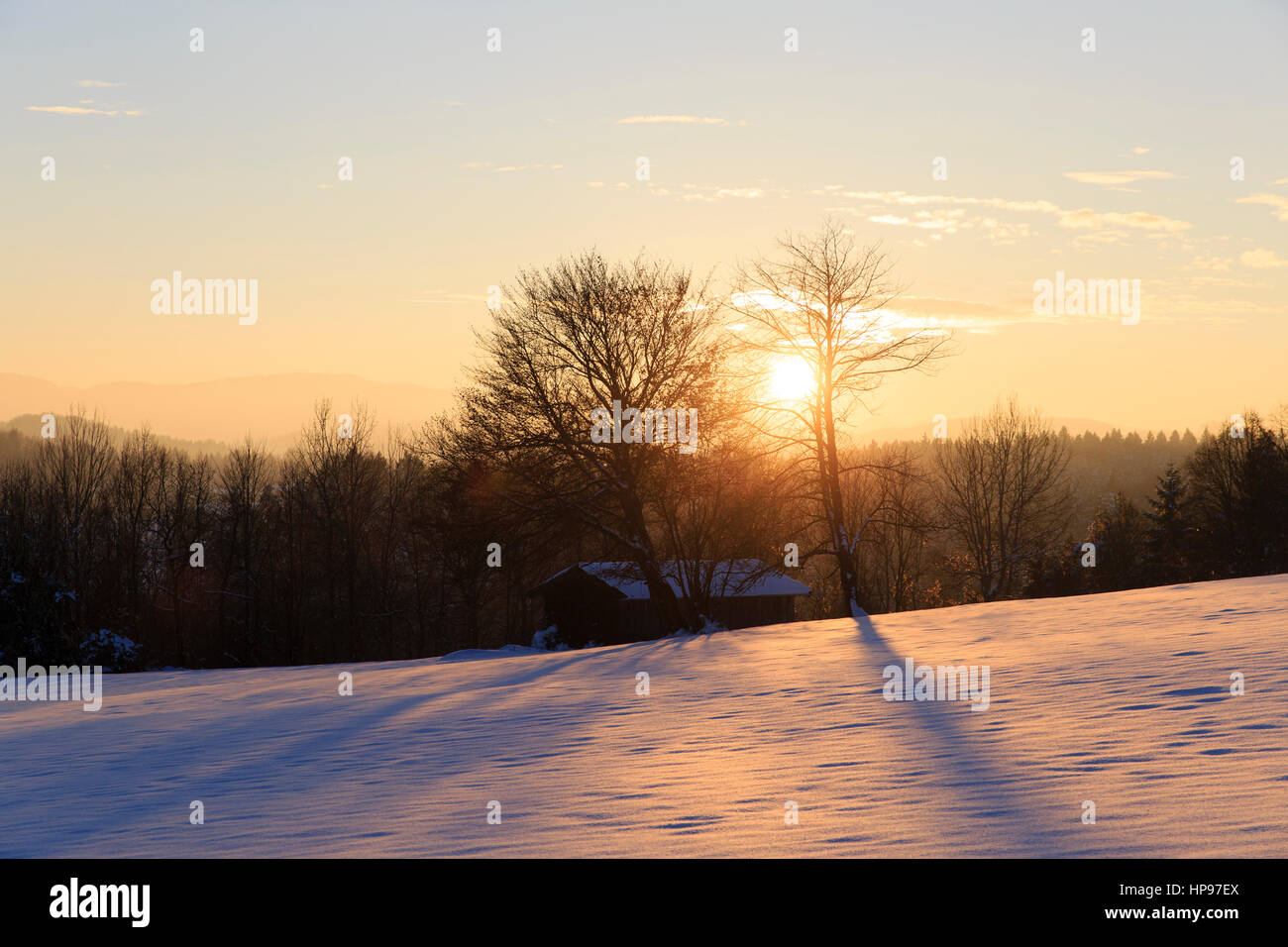 Bavaria Winter Wonderland. - Winter landscape in the Area of Bavaria ...