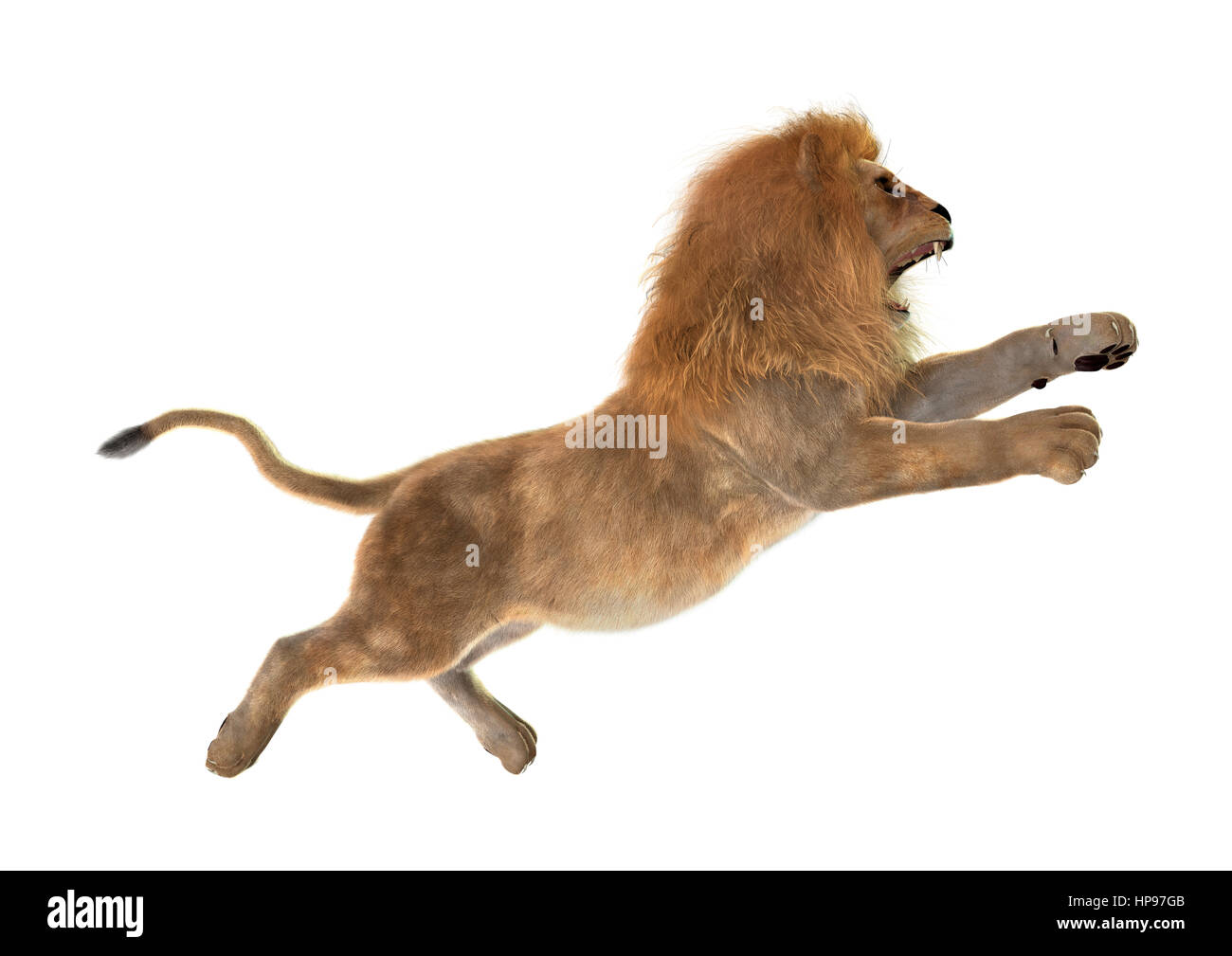 Jumping Lion Photography
