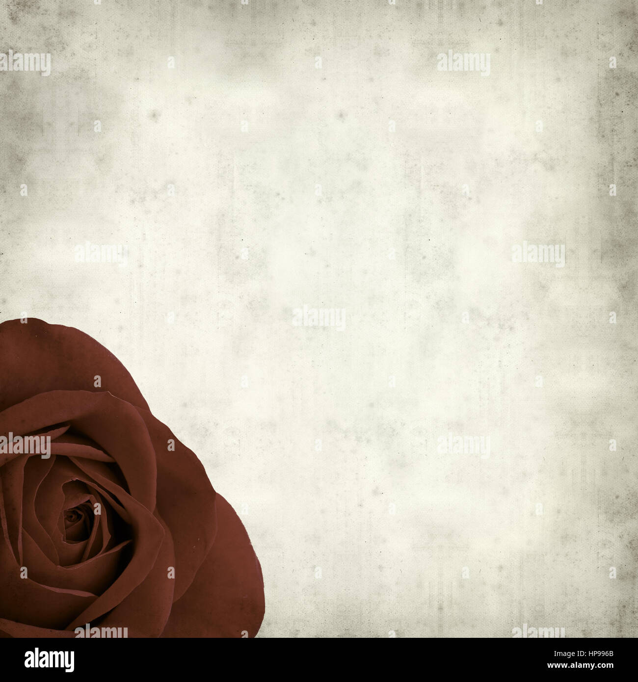 textured old paper background with open dark red rose Stock Photo - Alamy