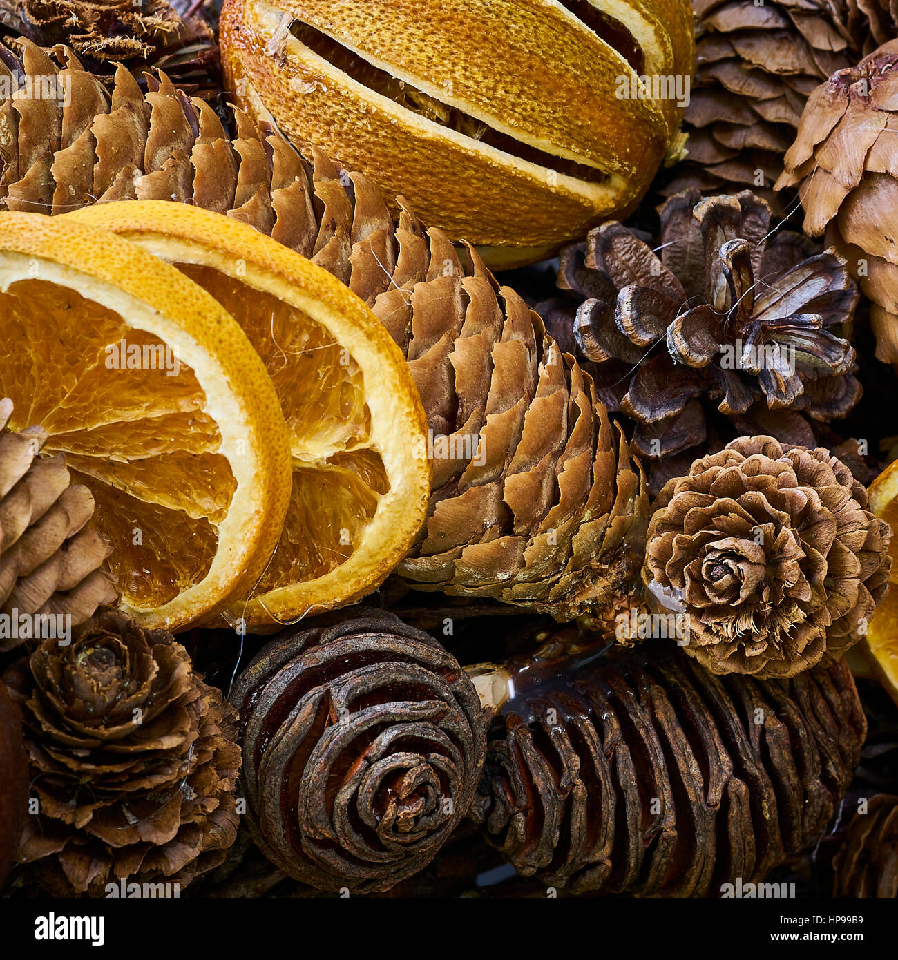 Dried cones hi-res stock photography and images - Alamy
