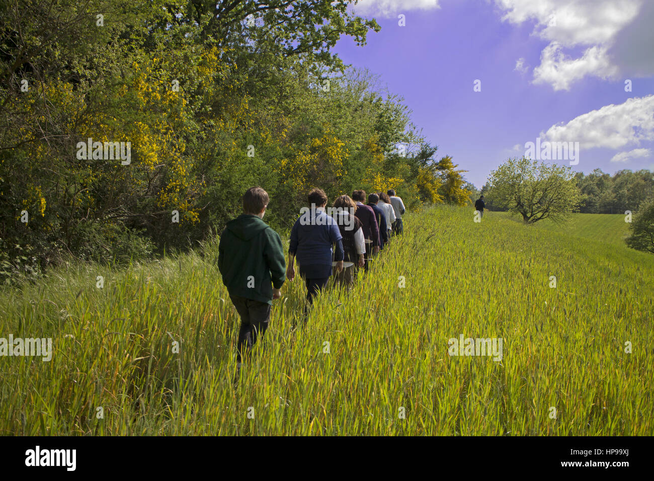 Some people are walking in a country environment with high grass Stock ...