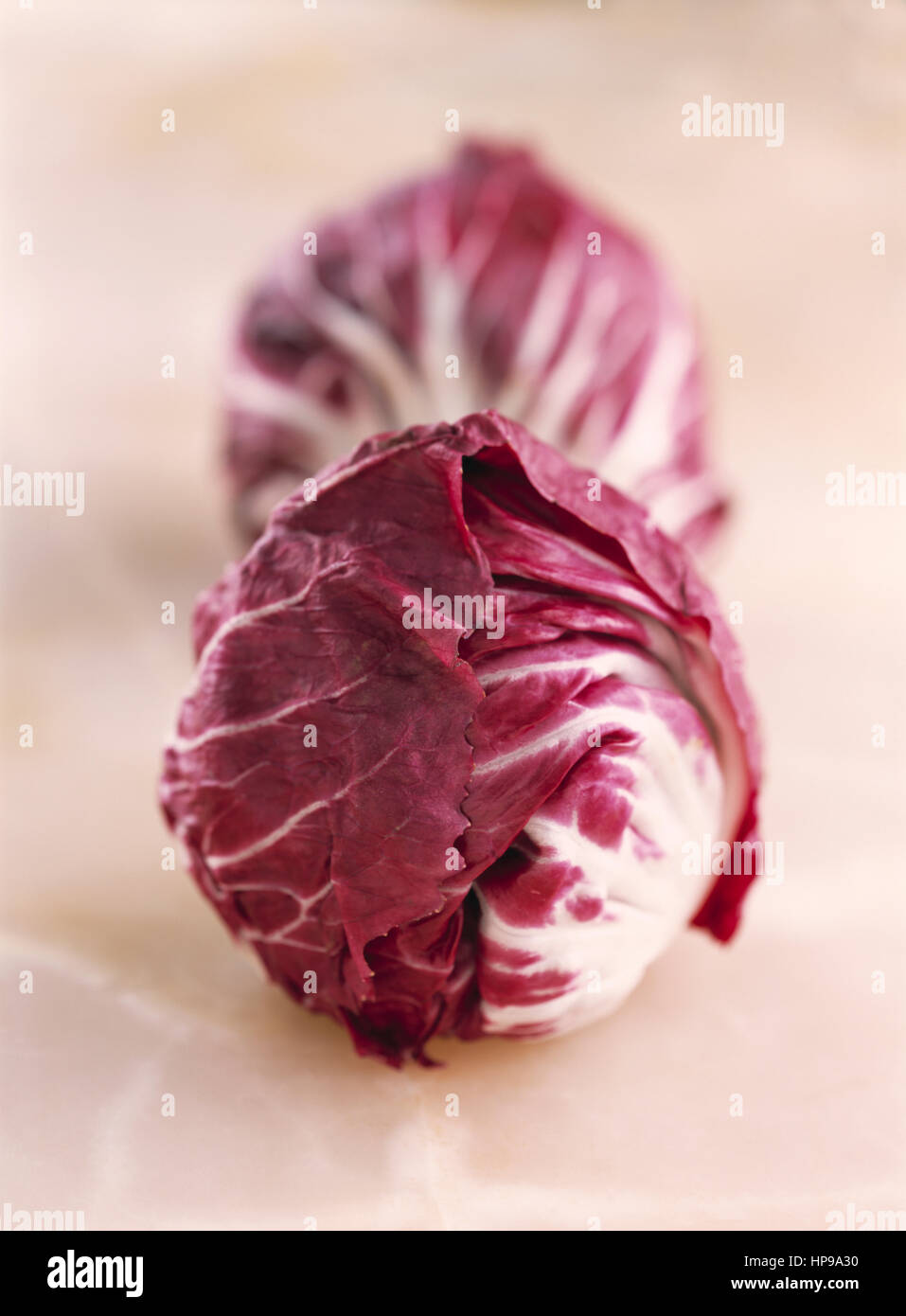 Lactucopicrin hi-res stock photography and images - Alamy