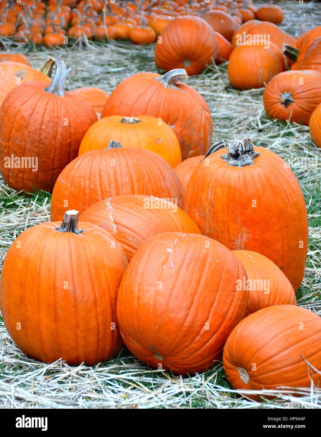 Fruit and vegetable carvings hi-res stock photography and images - Alamy