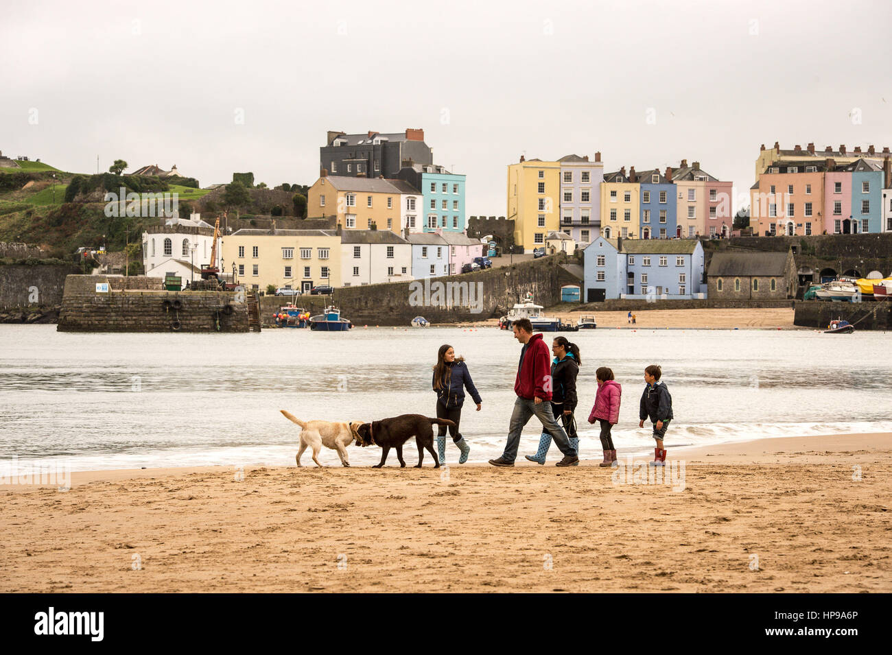 Walk along beach tenby hi-res stock photography and images - Alamy