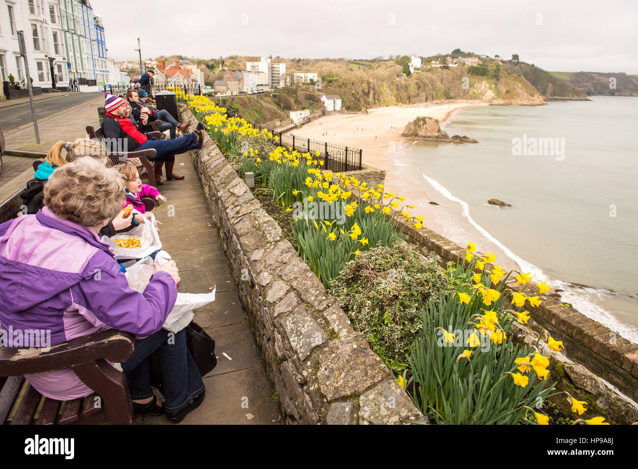 People eat their fish and chips next to rows of daffodils in full bloom ...