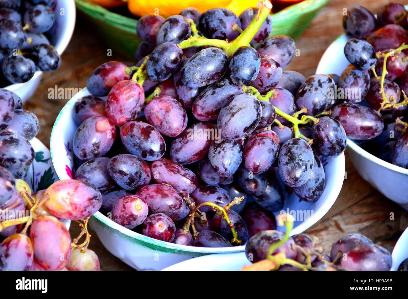 Concord grape plant hi-res stock photography and images - Alamy